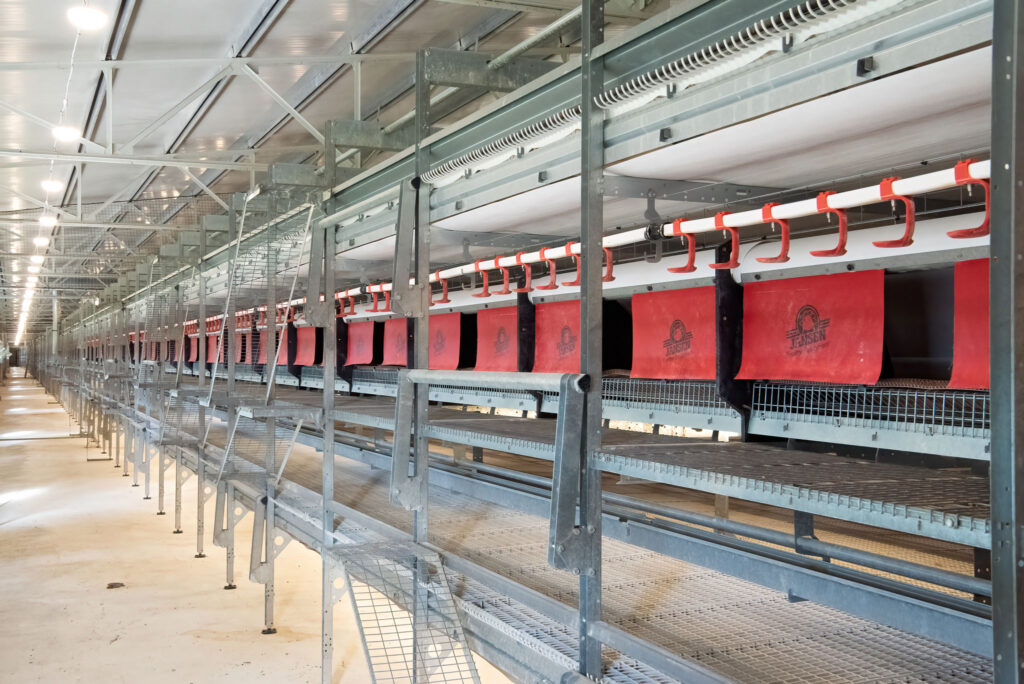 A Todi il progetto di VDL Jansen con soluzioni innovative – Zootecnica