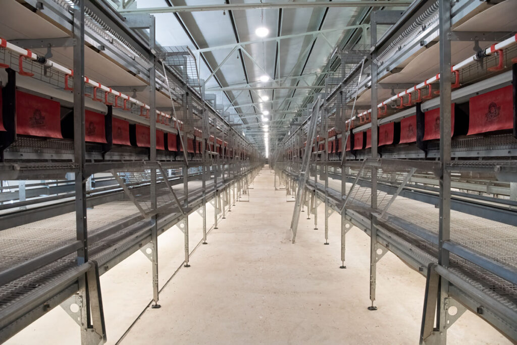 A Todi il progetto di VDL Jansen con soluzioni innovative – Zootecnica