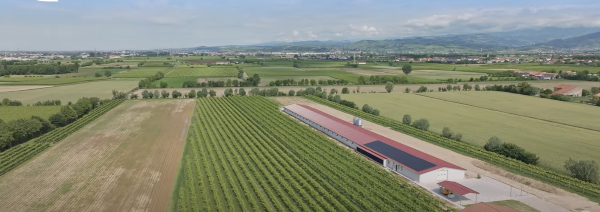 Passione e dedizione in un'azienda familiare di galline ovaiole in Veneto